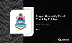 Punjab University Result 2025 BA, BSc, LLB, MA, MSc @pu.edu.pk ...
